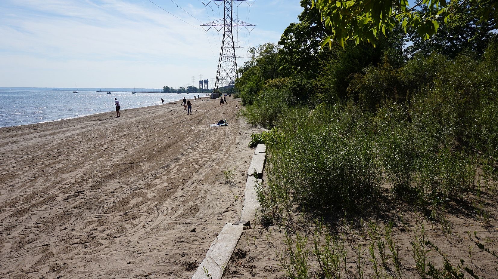 Restoring Nature’s Balance: Dune Rehabilitation to Enhance Beach ...